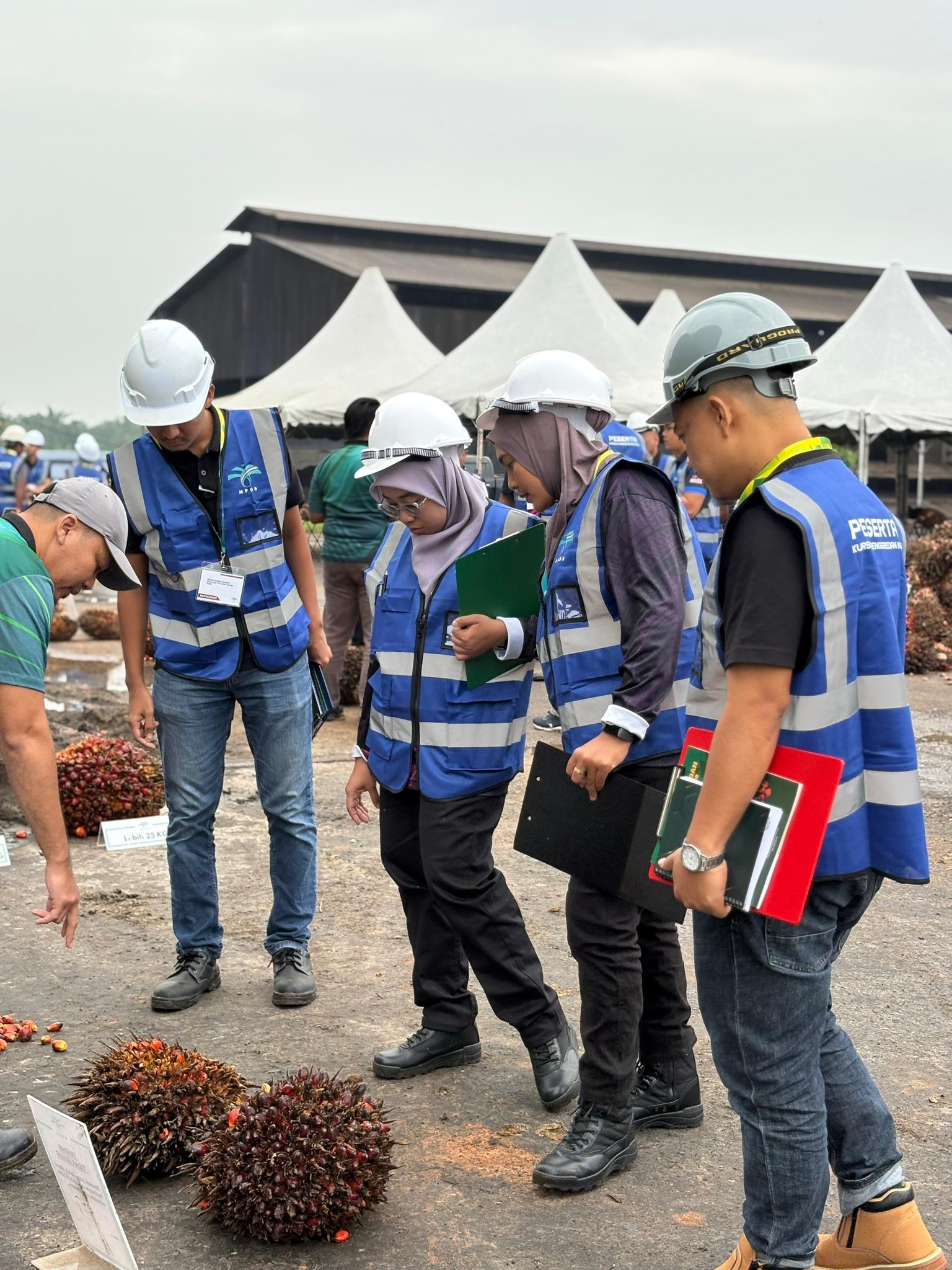 LA-V4: All courses | LA-V4